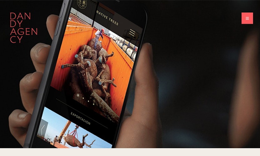 Dandy Agency – Admire The Web